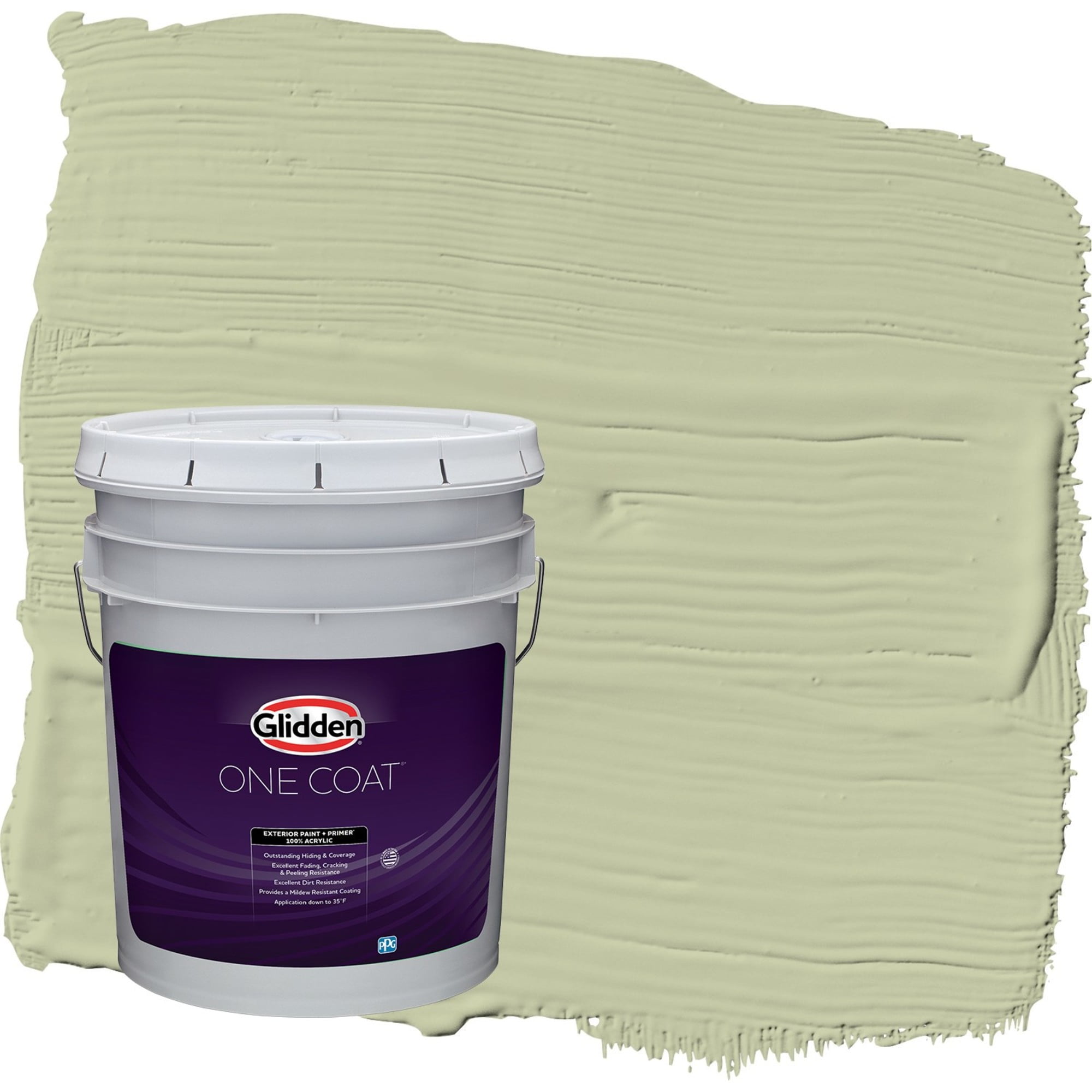 Glidden One Coat Sage Splendor / Green Flat Exterior Paint with Primer ...