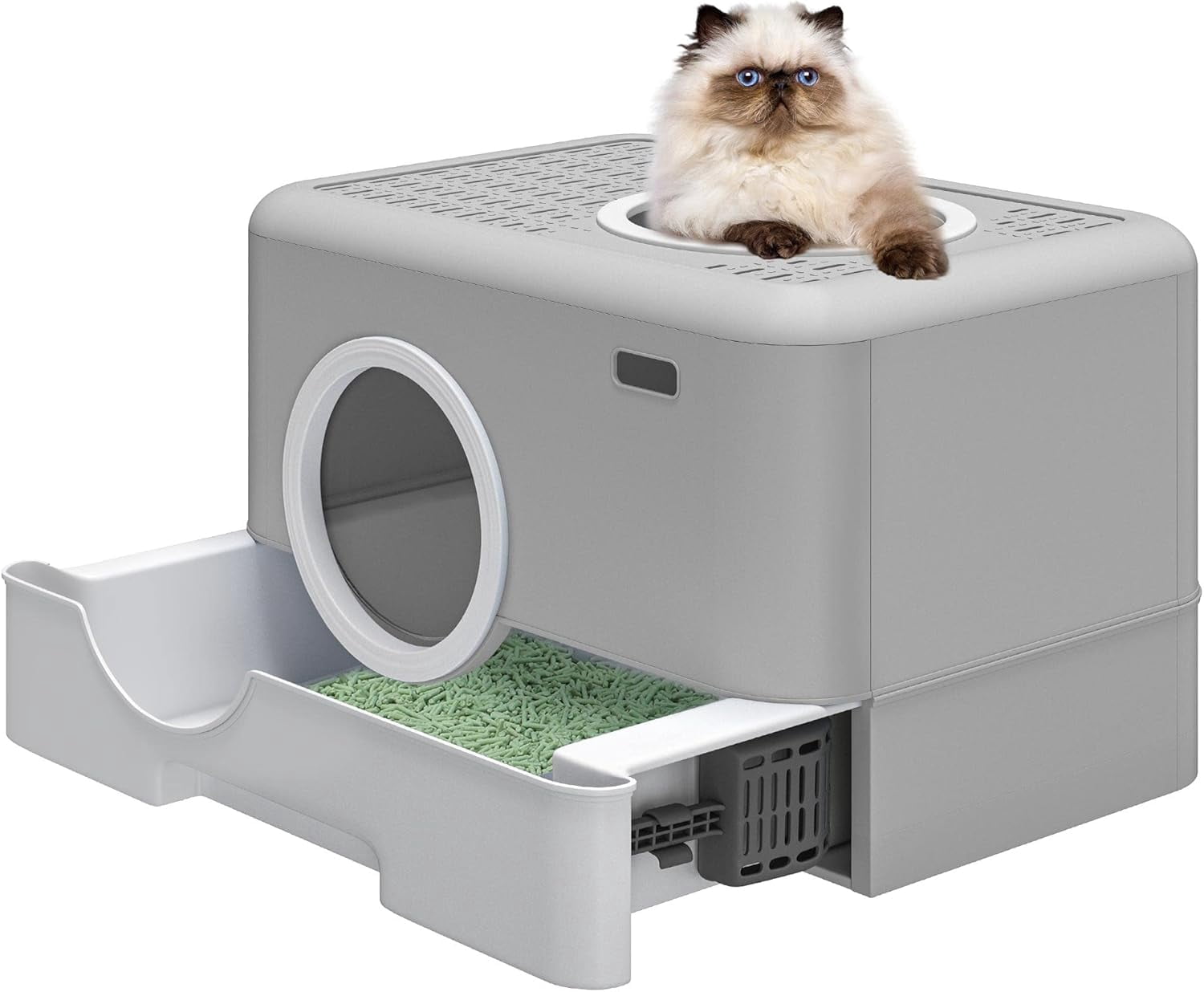 GlimmerGrove Large Enclosed Cat Litter Box with Lid Cover, Hooded ...