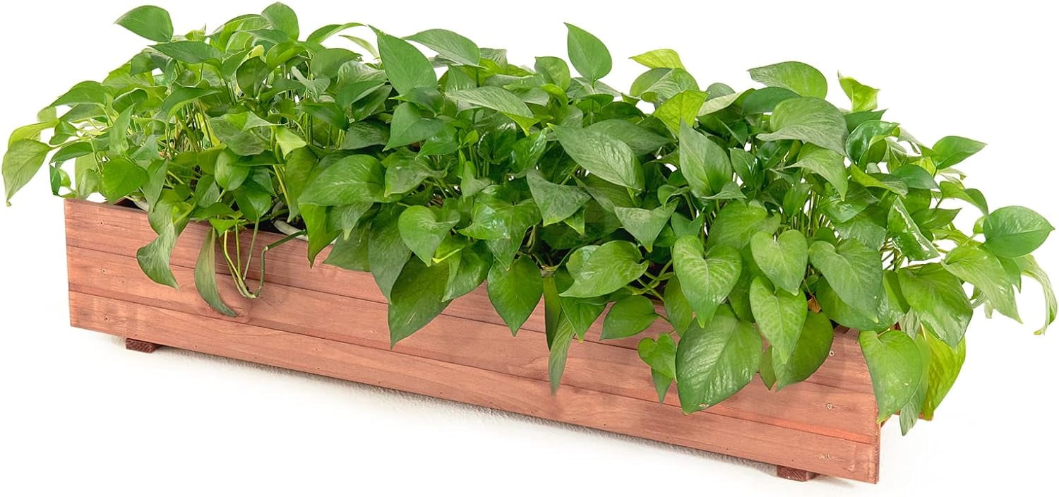 GlimmerGrove Raised Garden Bed Flower or Vegetable Planter Window ...