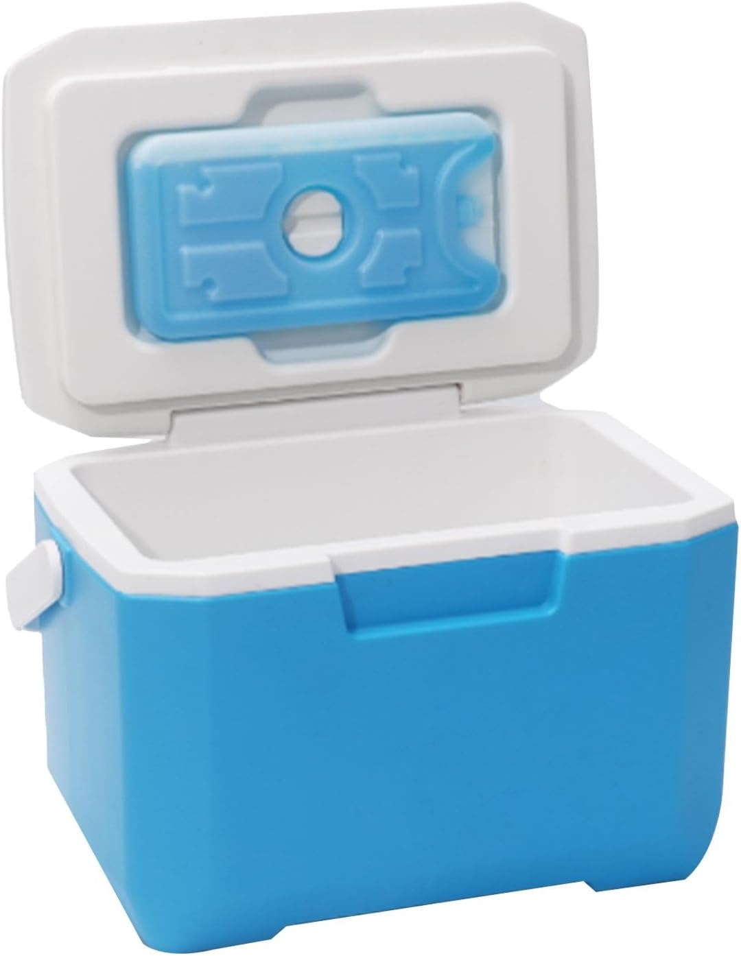 GlimmerGrove Refrigerator Cooler, Outdoor Beverage Cooler, Hard Cooler ...