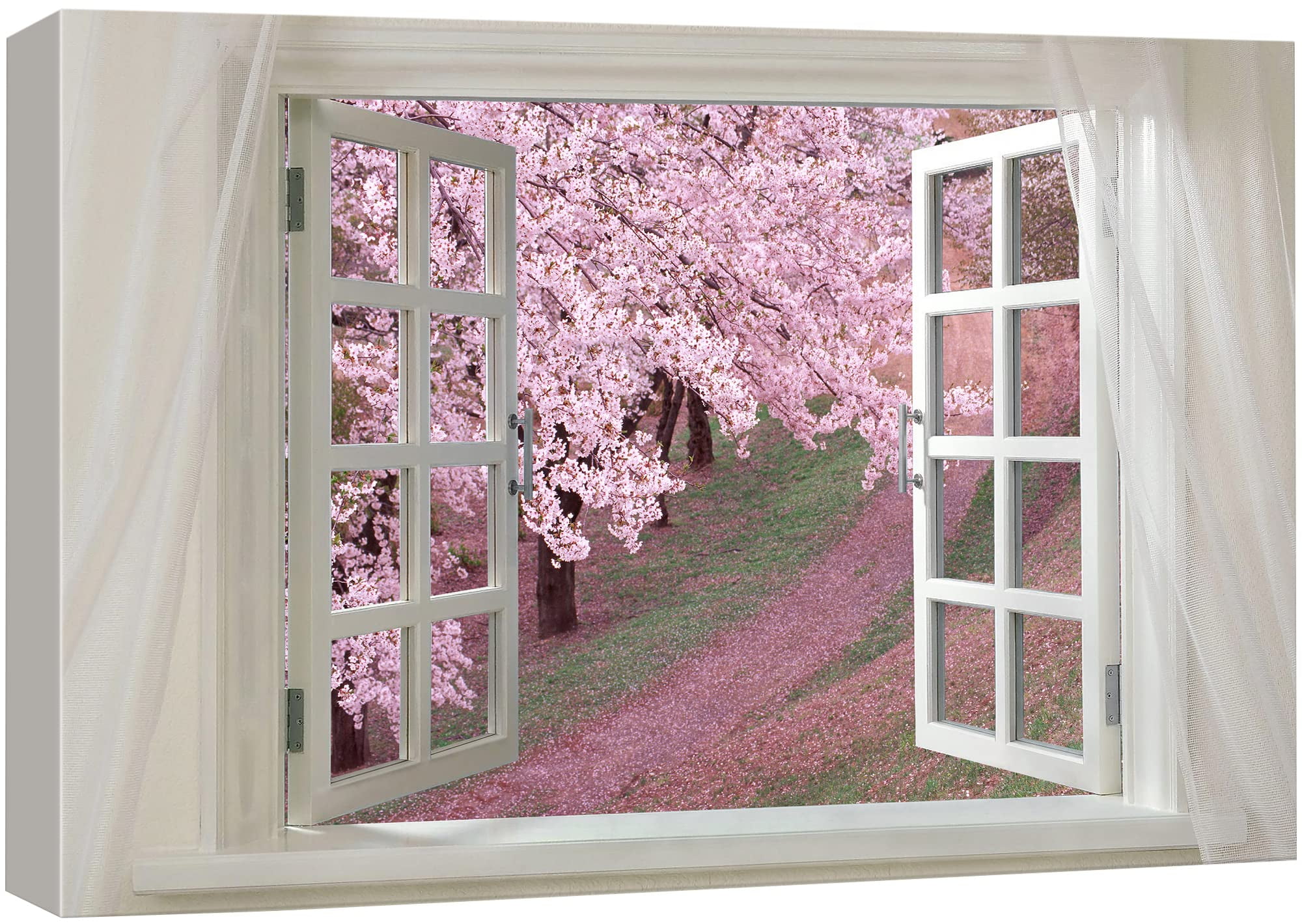 Glimpse into Cherry Blossom in Spring out of Open Window Canvas Wall ...