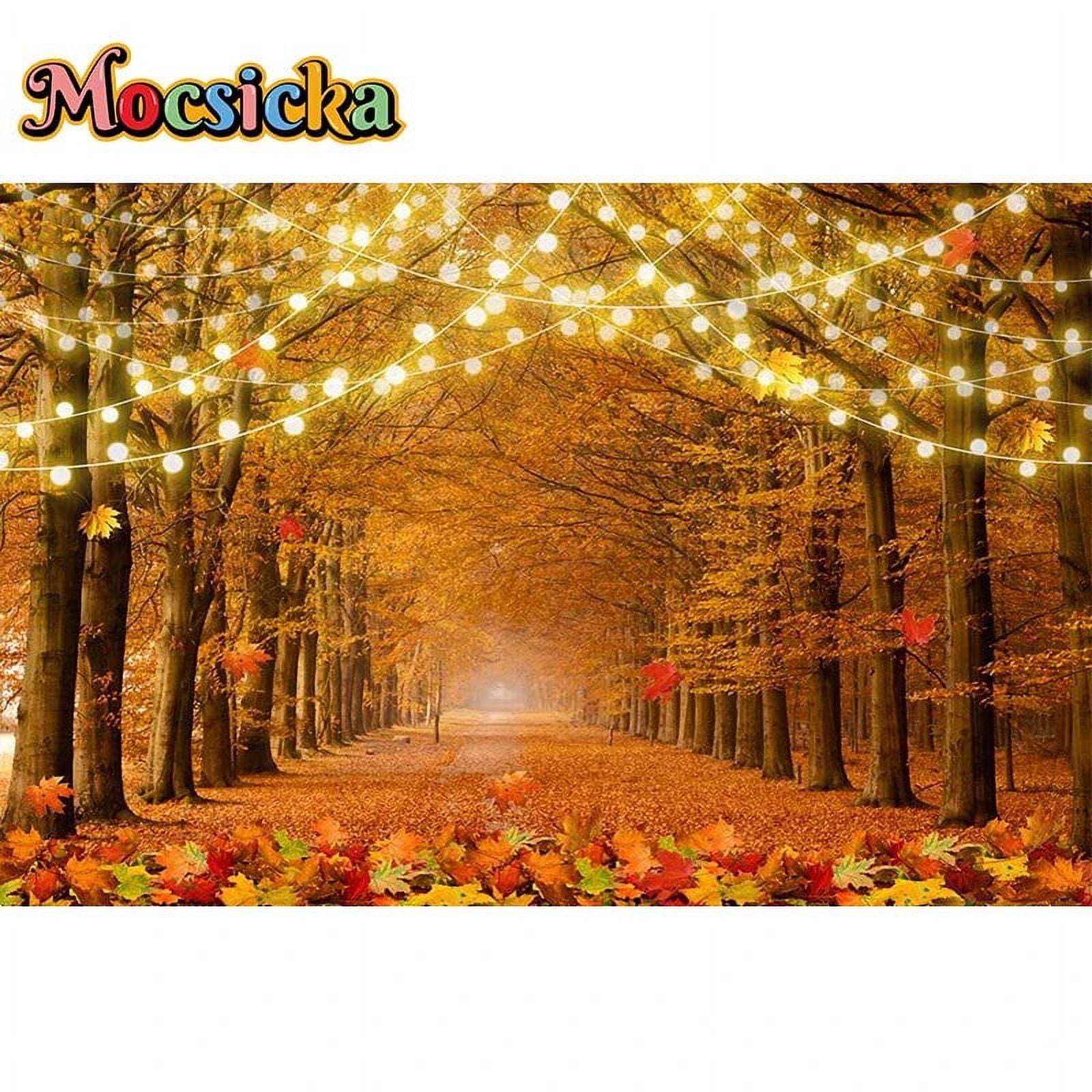 Glitter Autumn Forest Photography Background Nature Landscape Autumn ...