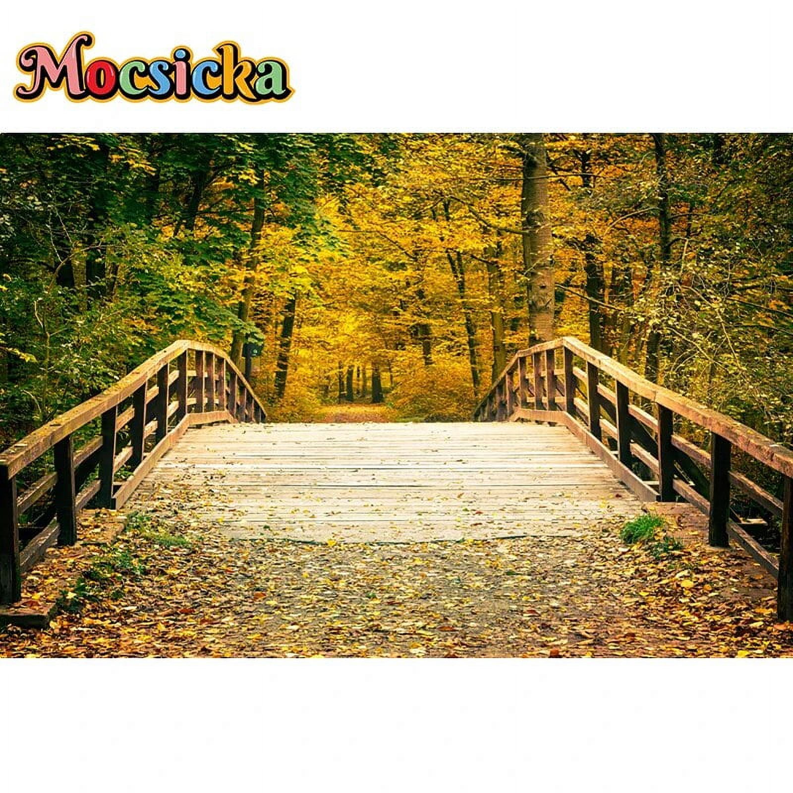 Glitter Autumn Forest Photography Background Nature Landscape Autumn ...