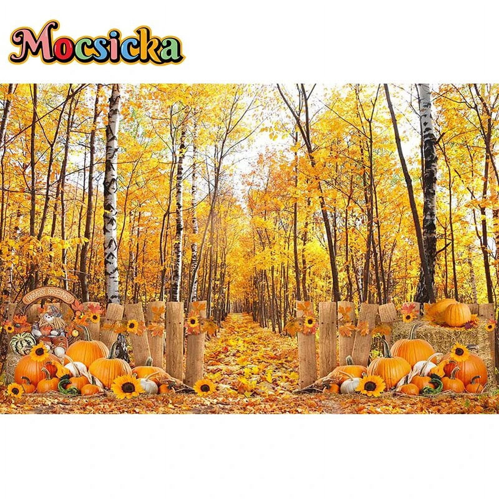 Glitter Autumn Forest Photography Background Nature Landscape Autumn ...