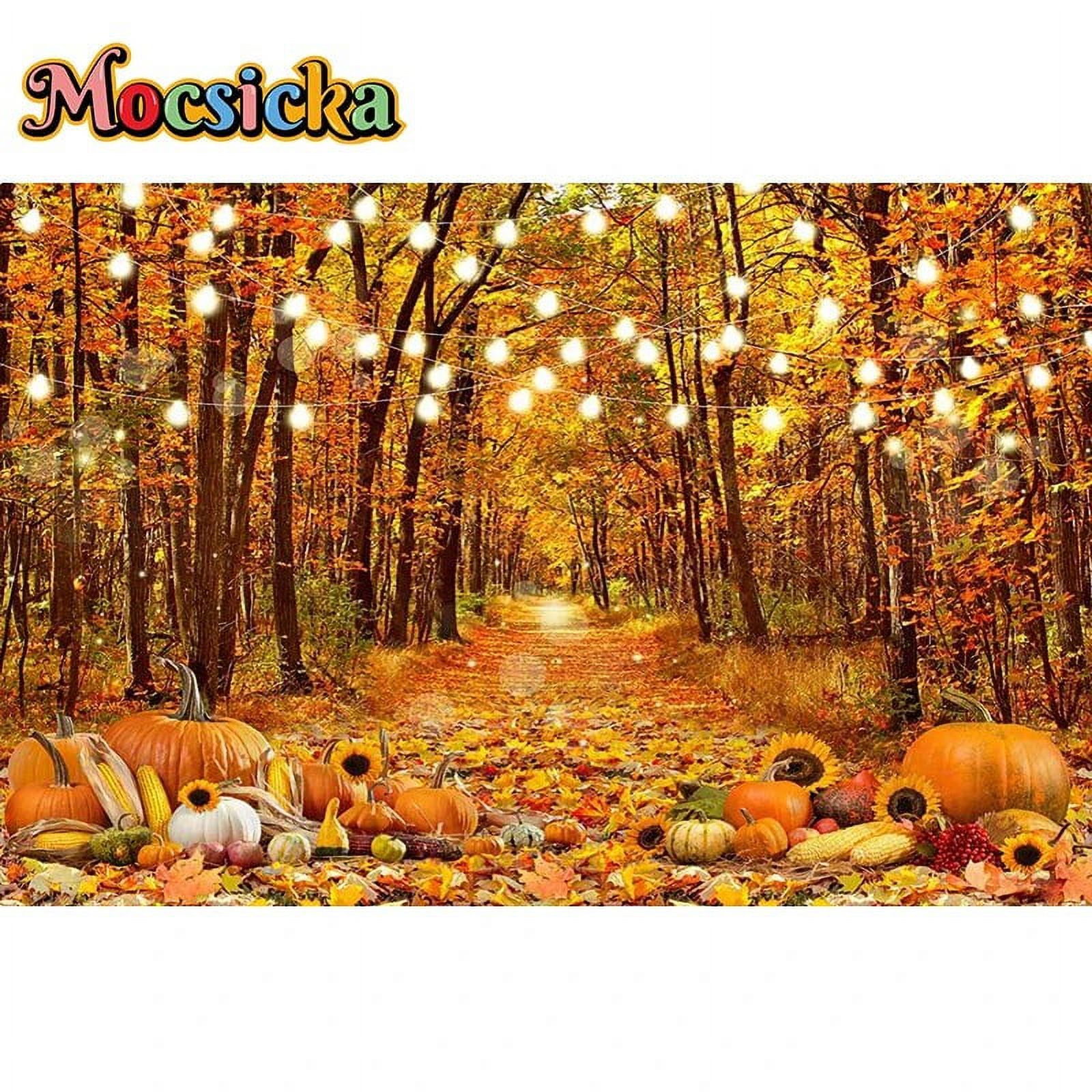 Glitter Autumn Forest Photography Background Nature Landscape Autumn ...
