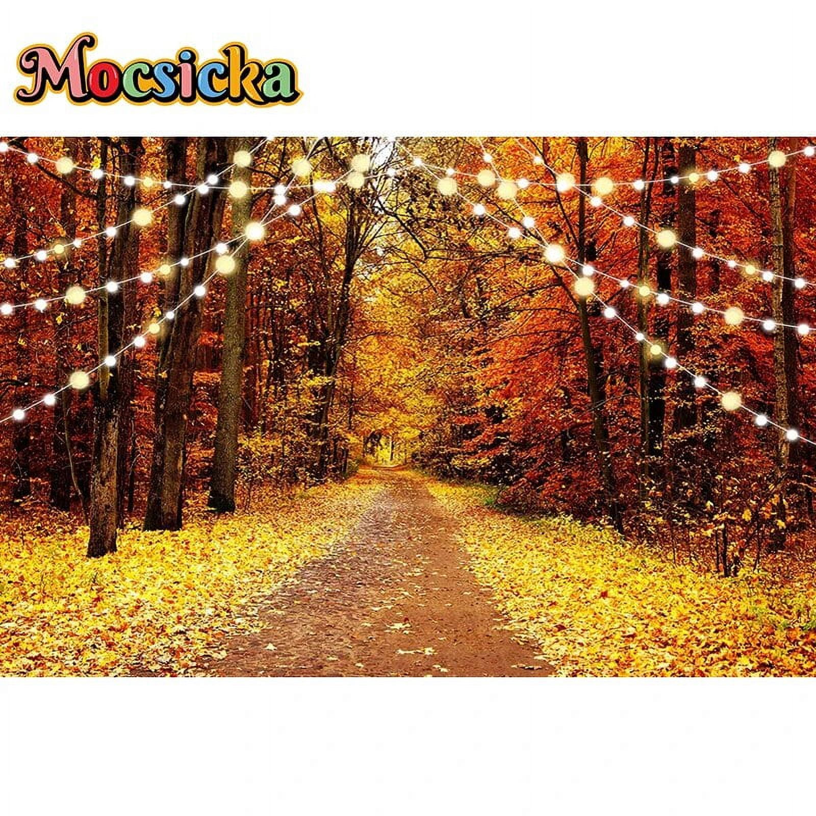 Glitter Autumn Forest Photography Background Nature Landscape Autumn ...