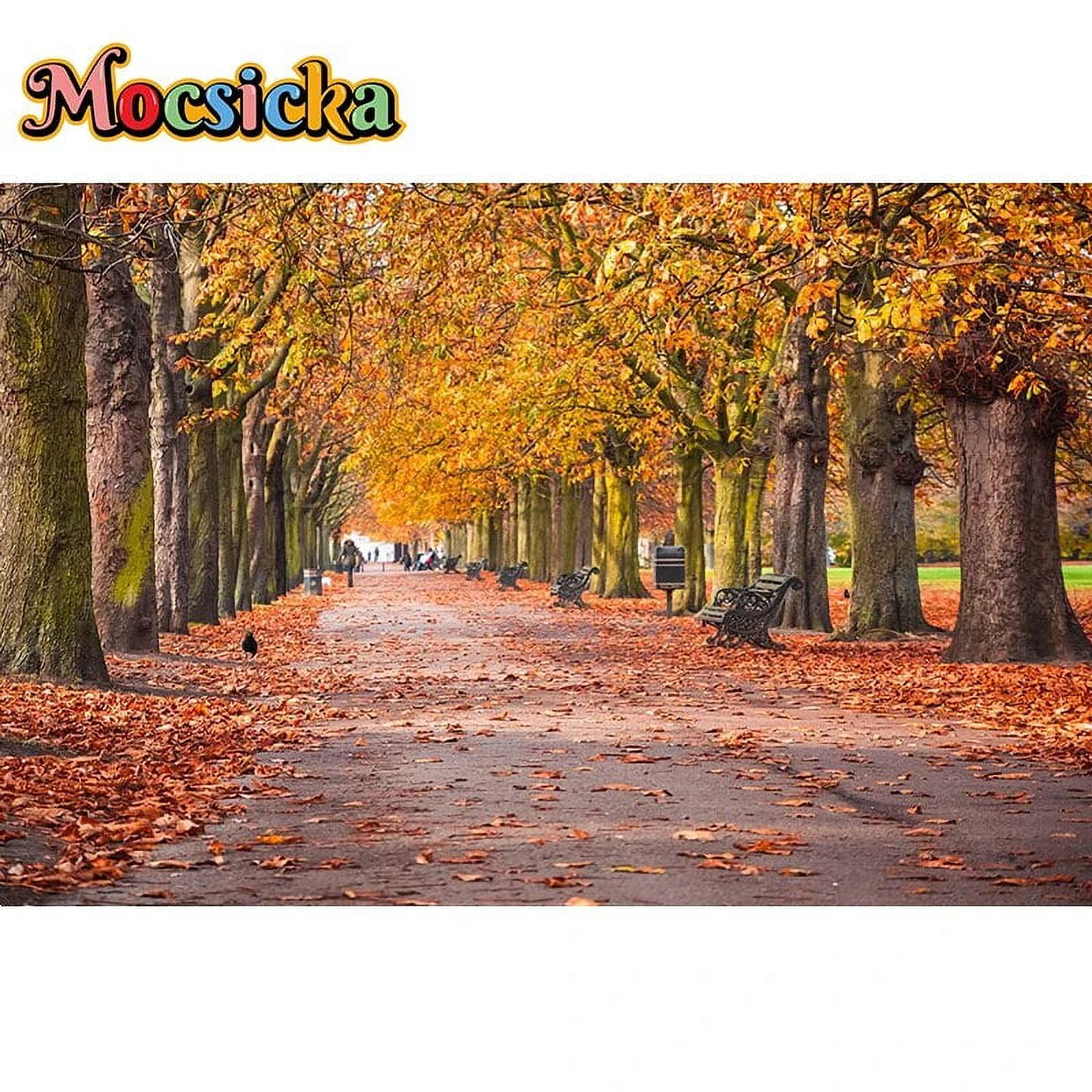 Glitter Autumn Forest Photography Background Nature Landscape Autumn ...