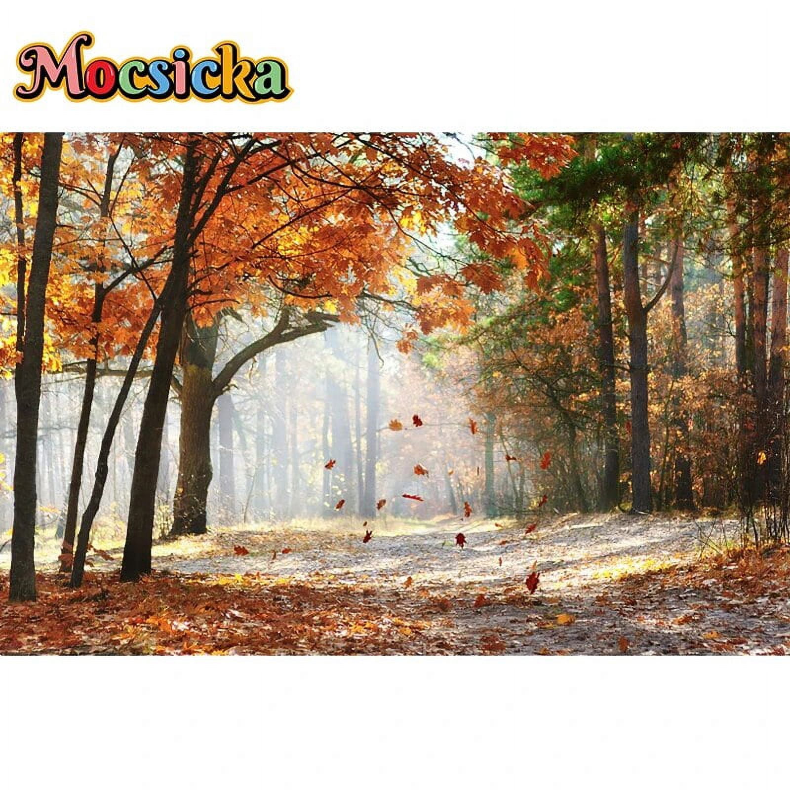 Glitter Autumn Forest Photography Background Nature Landscape Autumn ...
