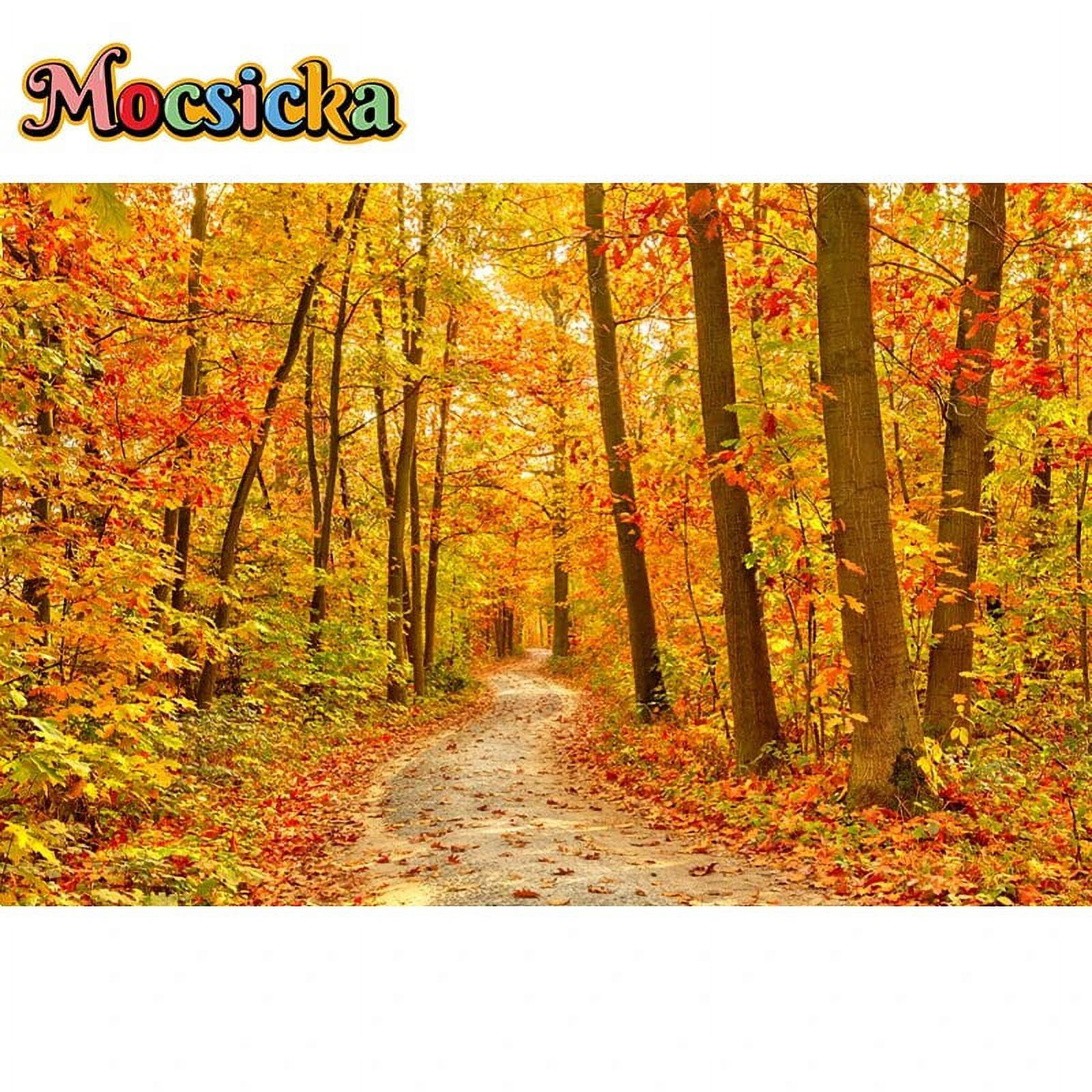 Glitter Autumn Forest Photography Background Nature Landscape Autumn ...
