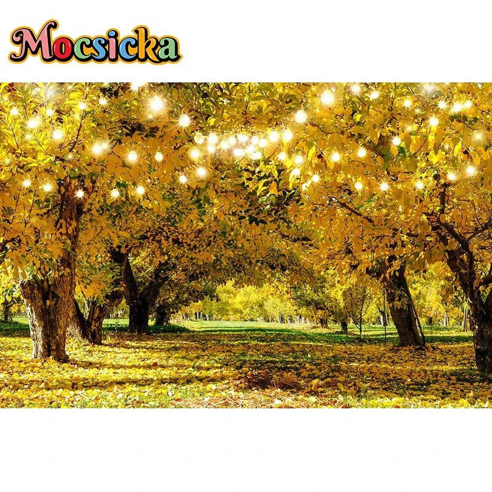 Glitter Autumn Forest Photography Background Nature Landscape Autumn ...