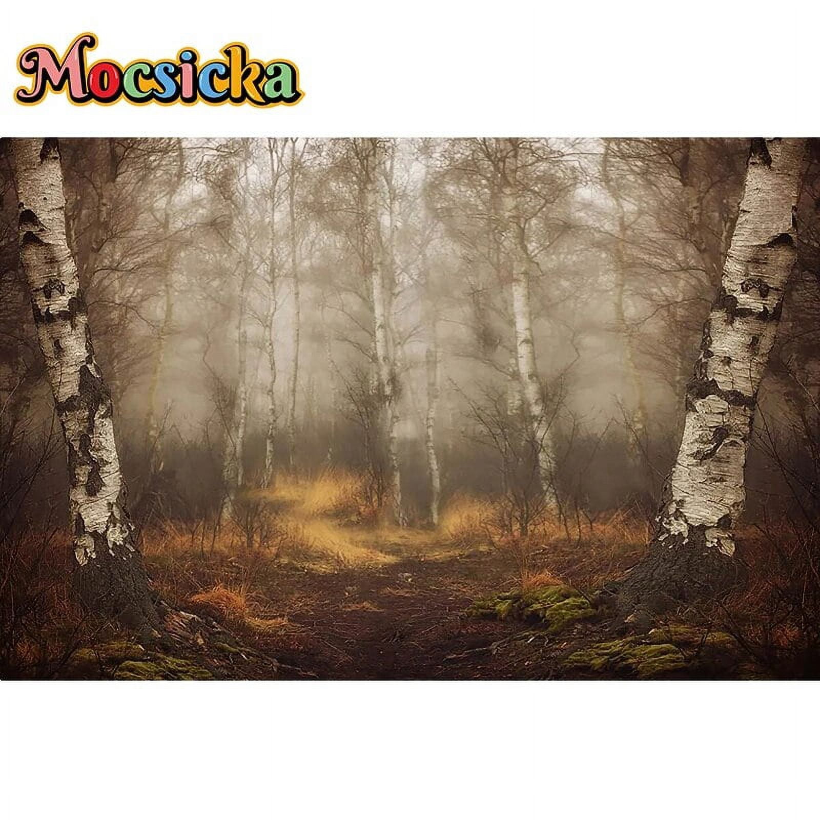 Glitter Autumn Forest Photography Background Nature Landscape Autumn ...