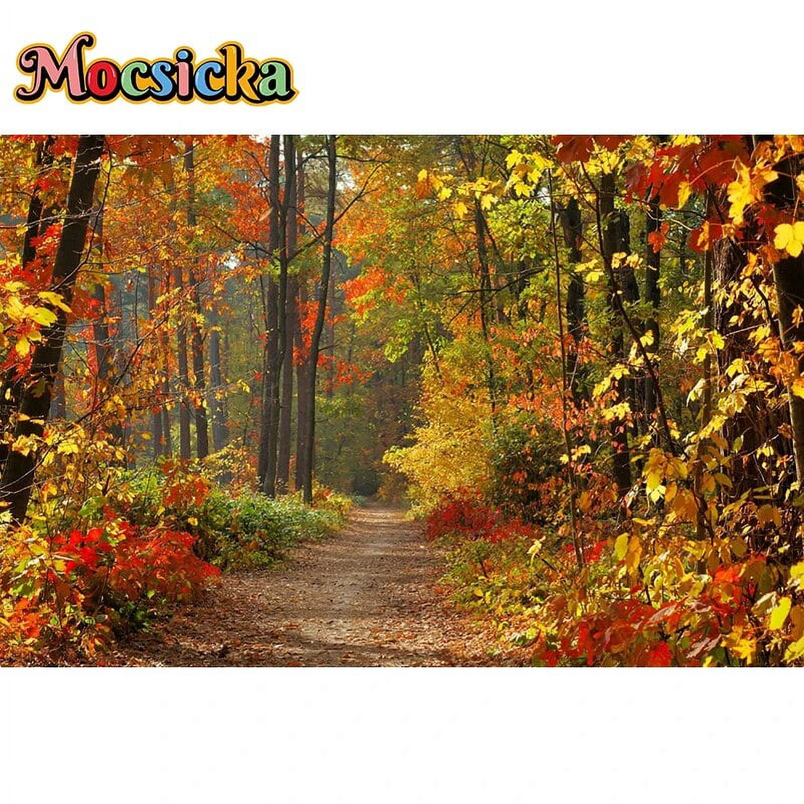 Glitter Autumn Forest Photography Background Nature Landscape Autumn ...