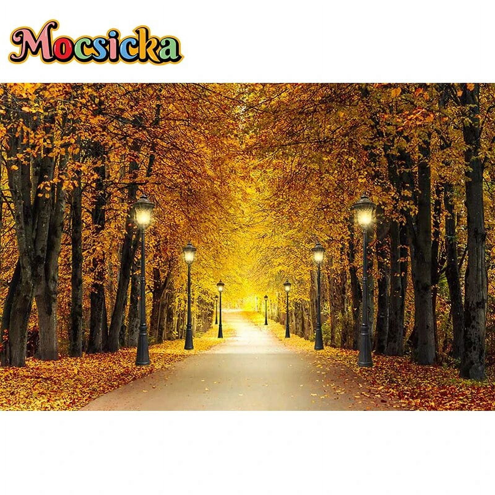 Glitter Autumn Forest Photography Background Nature Landscape Autumn ...