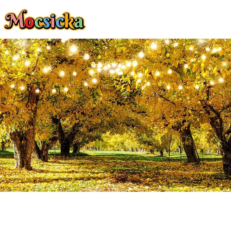 Glitter Autumn Forest Photography Background Nature Landscape Autumn ...