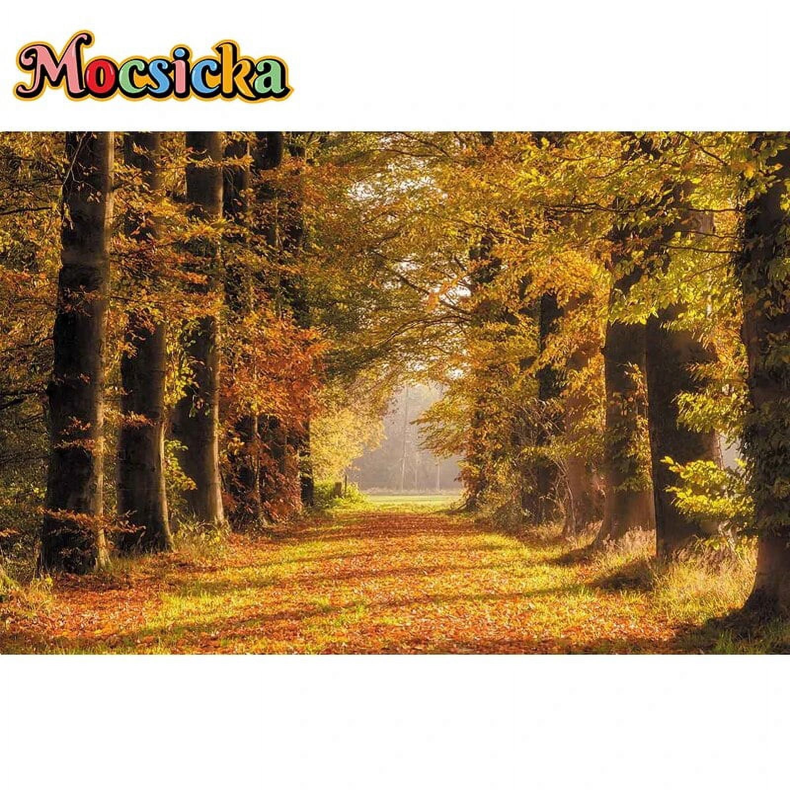 Glitter Autumn Forest Photography Background Nature Landscape Autumn ...