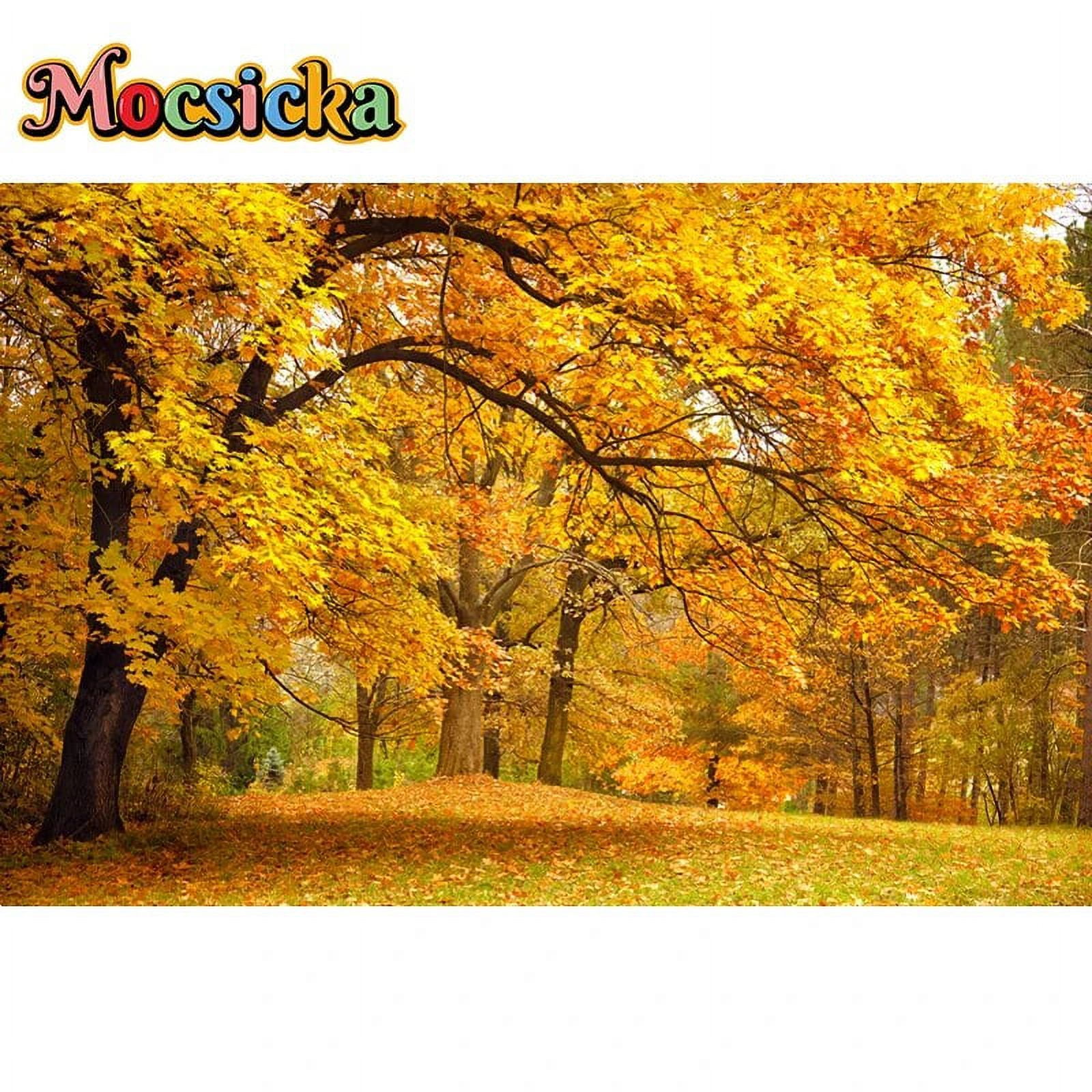 Glitter Autumn Forest Photography Background Nature Landscape Autumn ...