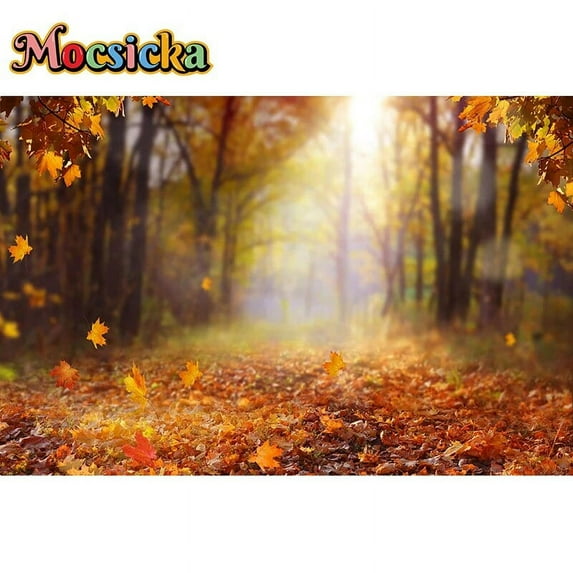 Glitter Autumn Forest Photography Background Nature Landscape Autumn ...