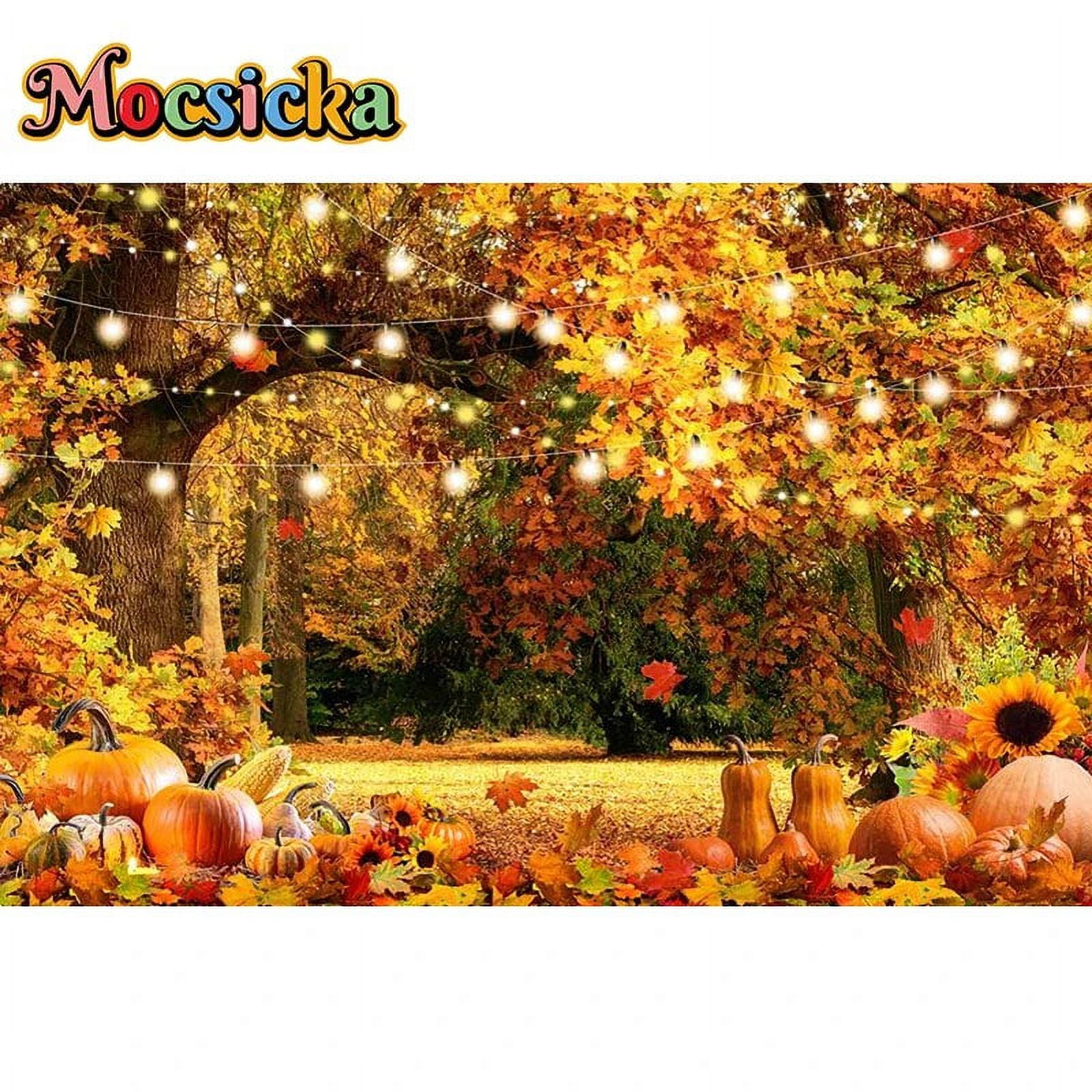 Glitter Autumn Forest Photography Background Nature Landscape Autumn ...