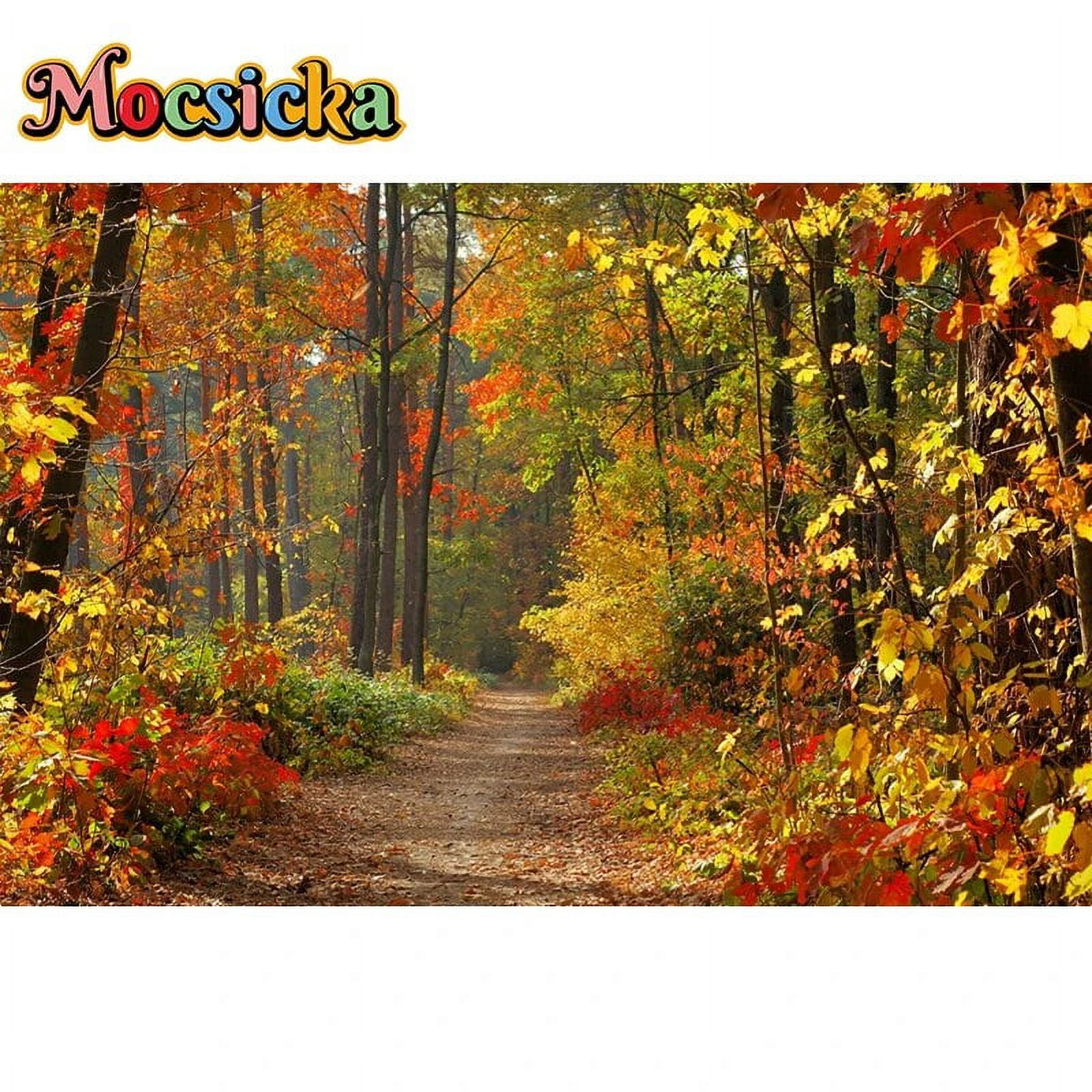 Glitter Autumn Forest Photography Background Nature Landscape Autumn ...