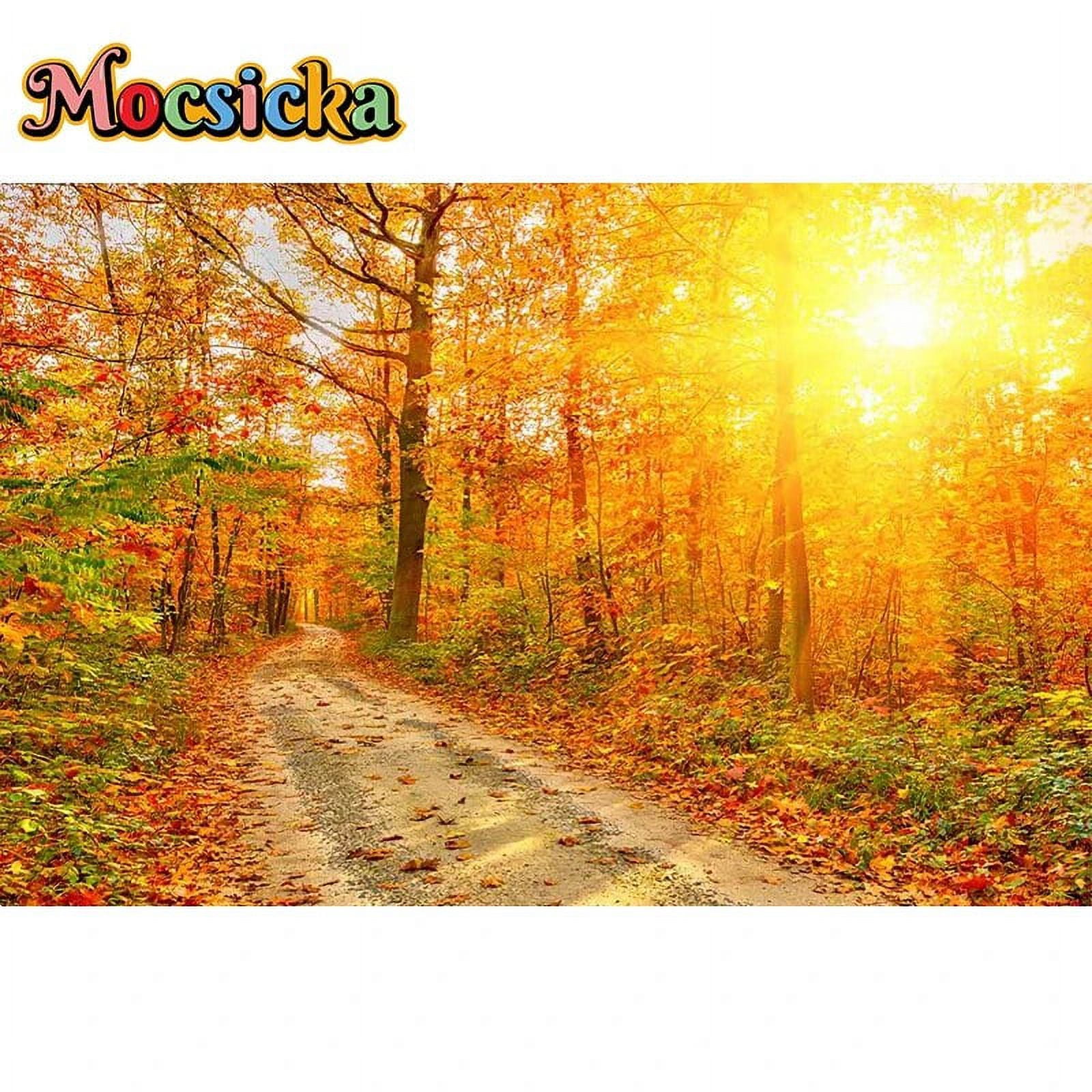 Glitter Autumn Forest Photography Background Nature Landscape Autumn ...