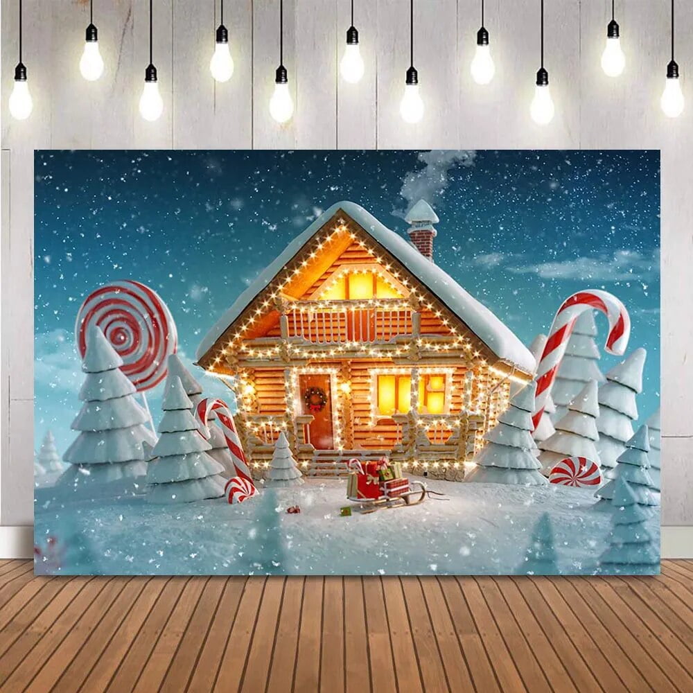 Glitter Christmas house photography backdrop winter snow world photo ...