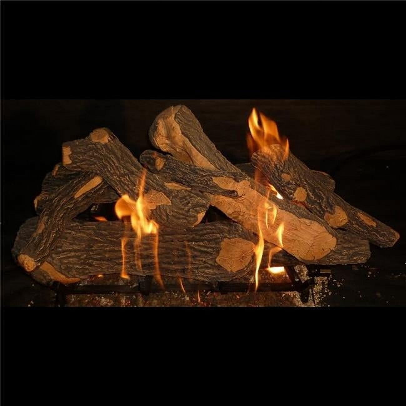 Glo-Fire GF-CA-30-HK-LP 30 in. Hearth Distribution Canyon Propane Gas ...