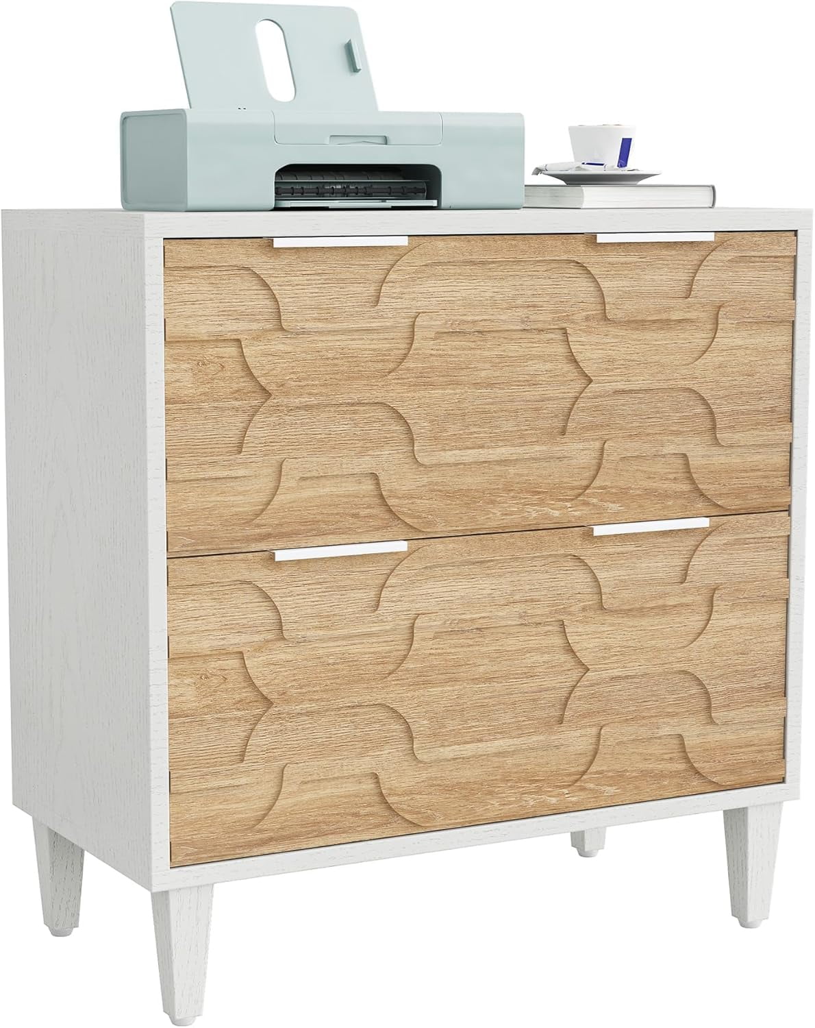 GloCart 2-Drawer File Cabinet, Lateral Filing Cabinet for A4/Letter ...