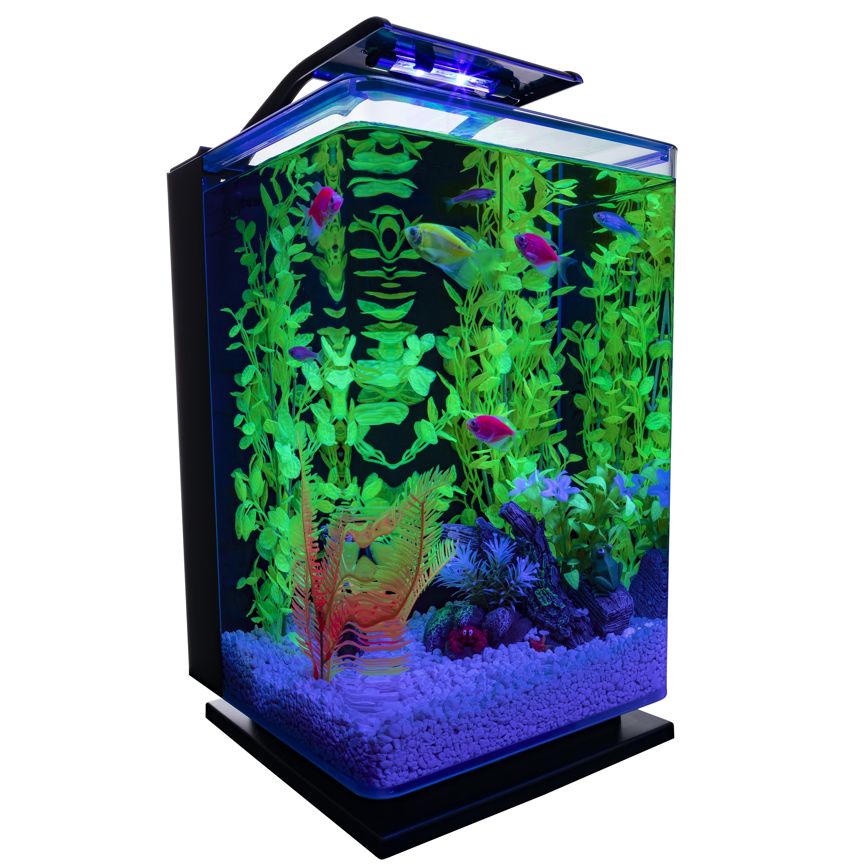 GloFish 5 Gallon Aquarium Starter Kit with LEDs and Filter - Walmart.com