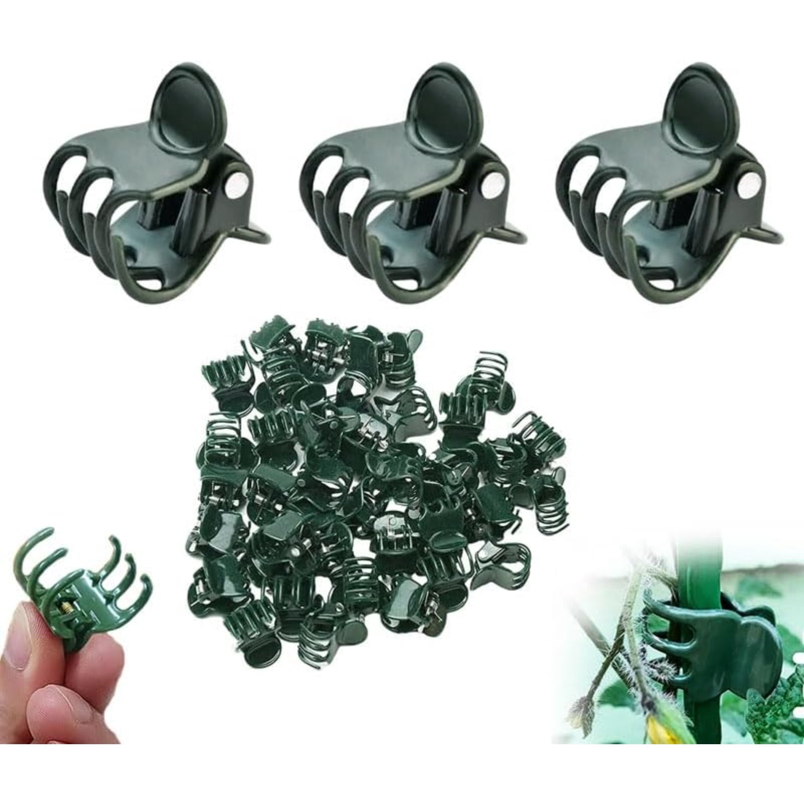 GlobaShun 100 Pcs Plant Clips,Orchid Clips,for Supporting Stems Vines ...