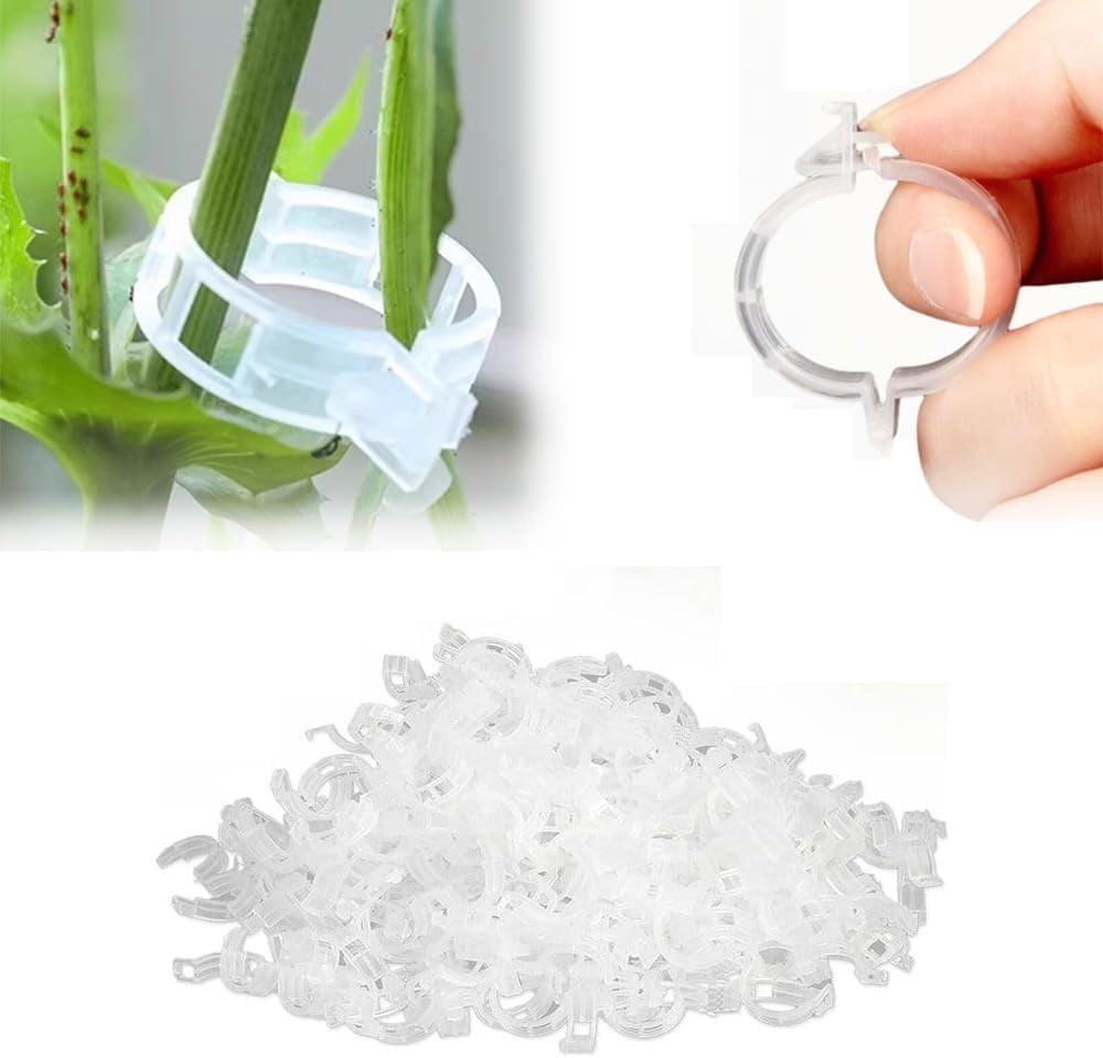 GlobaShun Secured Plastic Plant Clip, 2025 Plant Support Clips, Garden ...