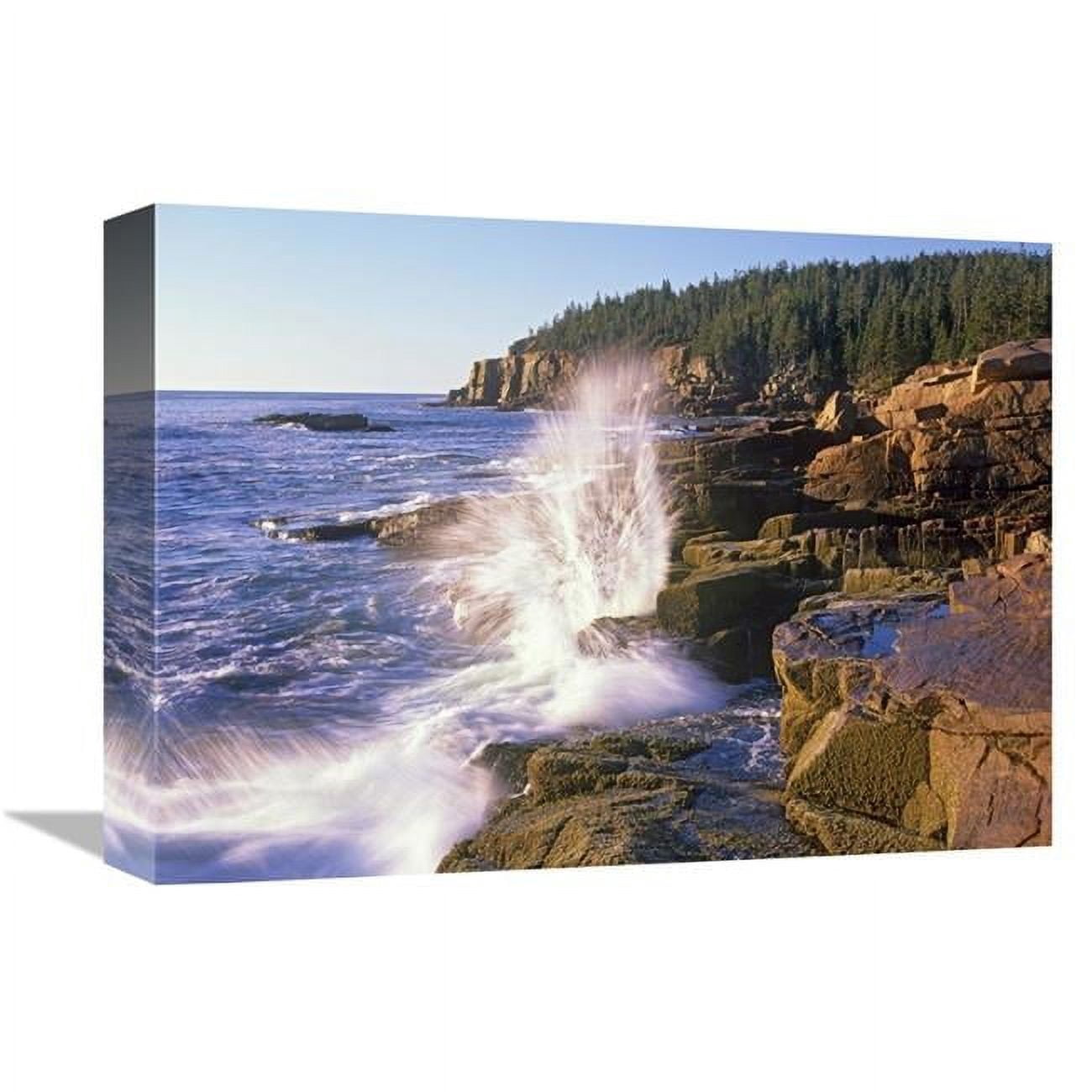 Global Gallery 12 x 16 in. Atlantic Coast Near Thunder Hole - Acadia ...