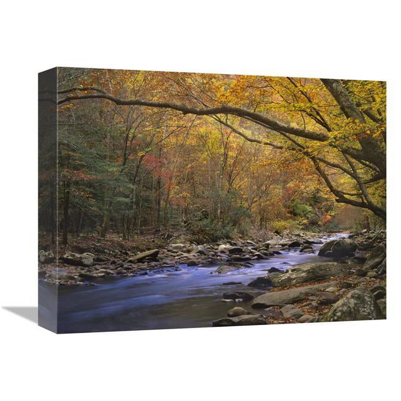 Global Gallery Little River Flowing Through Autumn Forest - Great Smoky ...