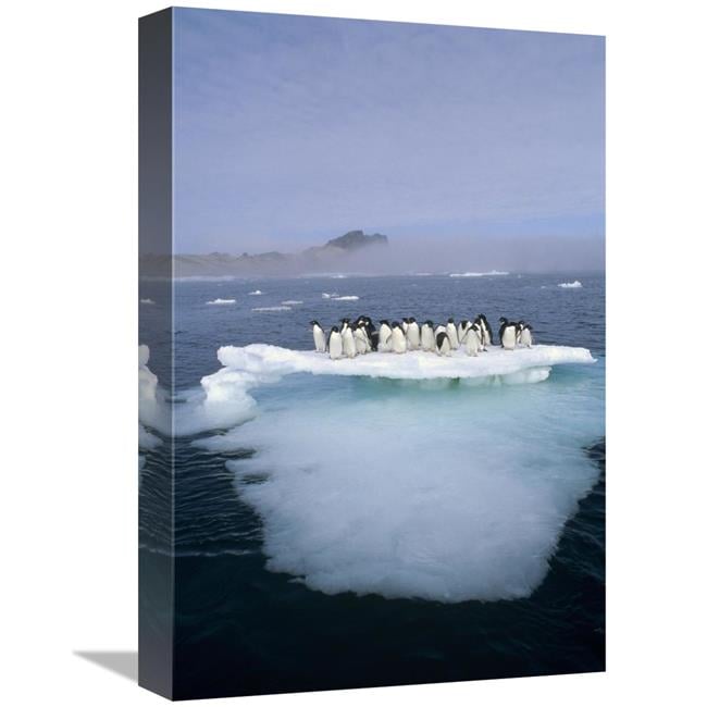Global Gallery 12 x 18 in. Adelie Penguin Group Crowding on Melting ...
