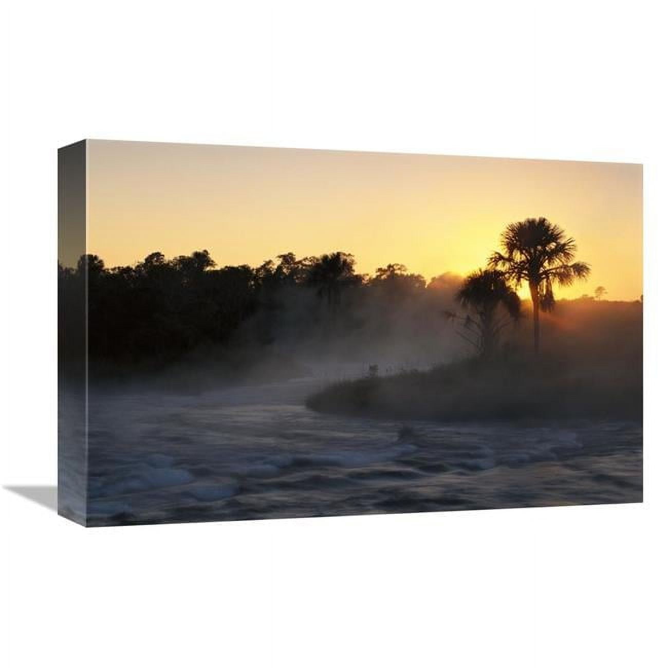 Global Gallery 12 x 18 in. Buriti Palm Gallery Forest Along Formoso ...