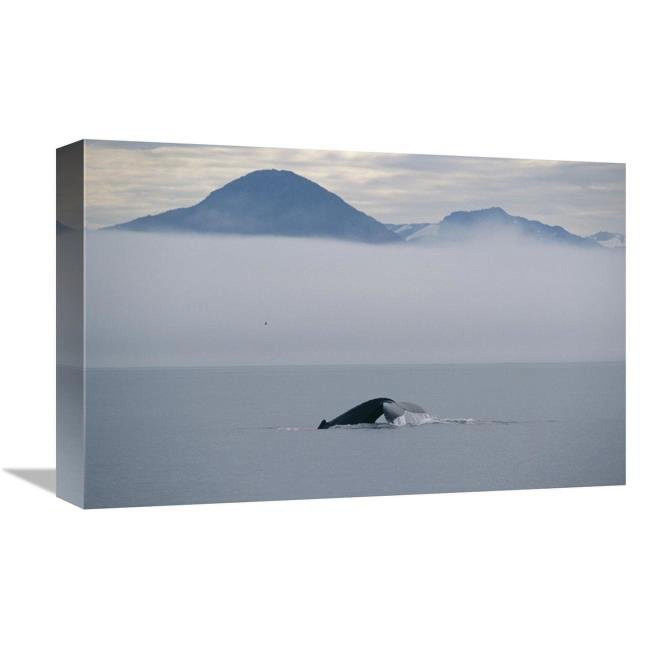 Global Gallery Humpback Whale Tail - Southeast Alaska Art Print - Flip ...