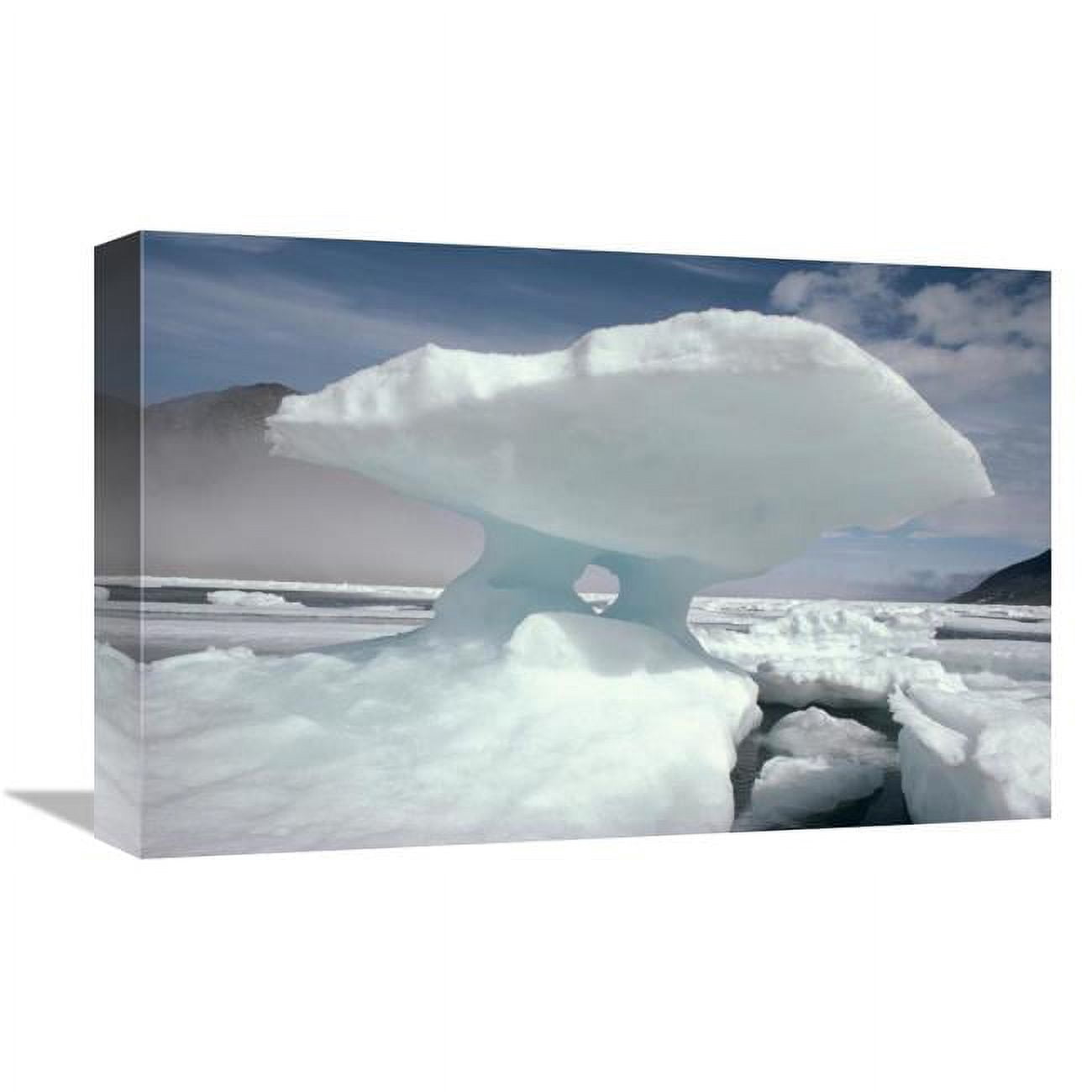 Global Gallery Iceberg & Ice Floes - Baffin Island - Canada Art Print ...