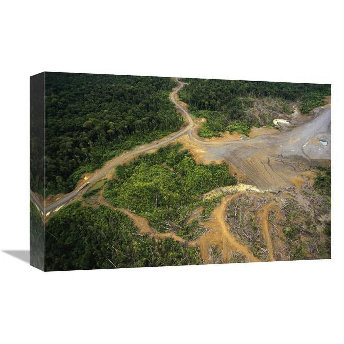 Global Gallery 12 x 18 in. Logging Erosion in Lowland Tropical ...