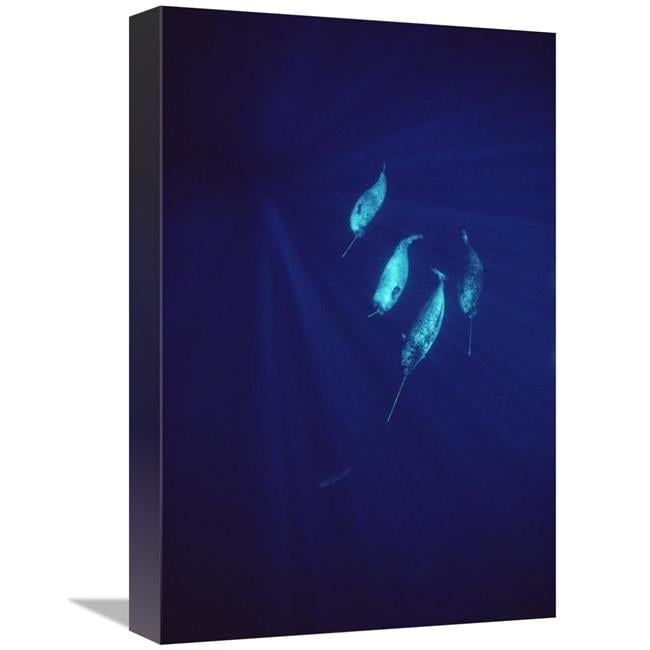 Global Gallery 12 x 18 in. Narwhal Pod Underwater Art Print - Flip ...