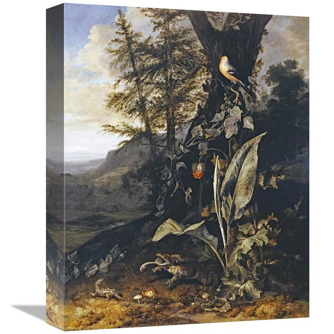 Global Gallery Forest Floor with a Toad & a Lizard Art Print - Matthias ...