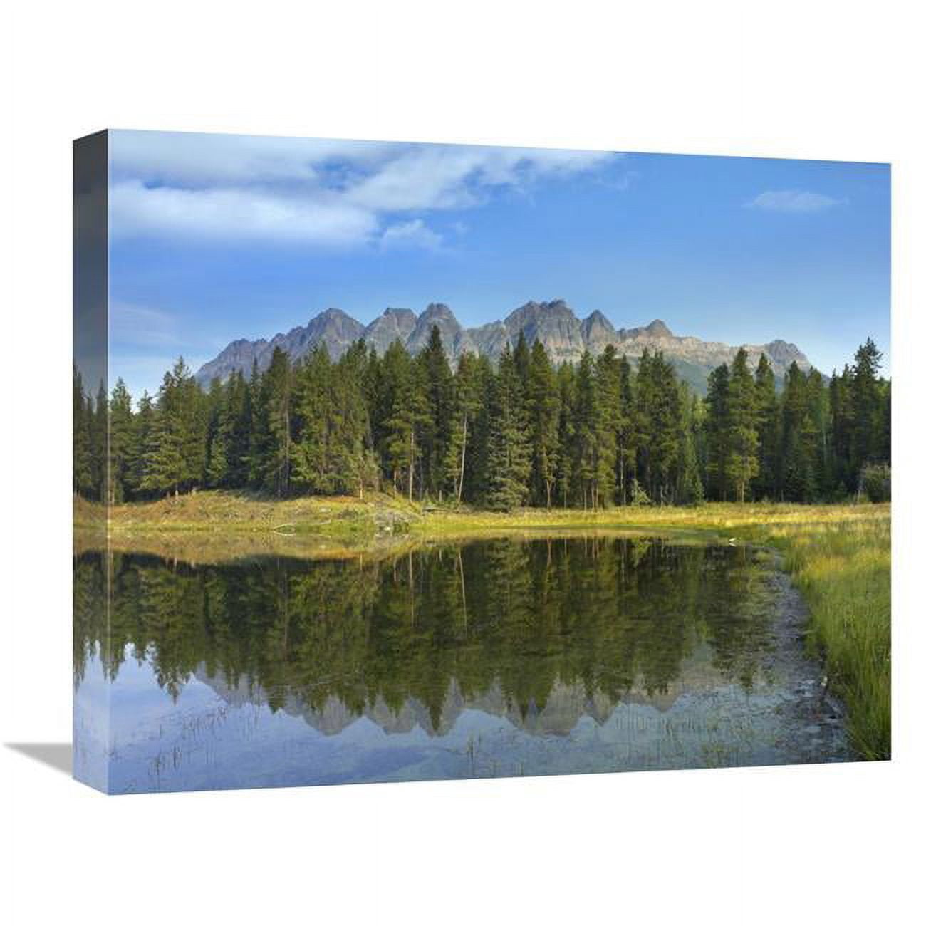 Global Gallery 16 x 20 in. Yellowhead Mountain & Yellowhead Lake with ...