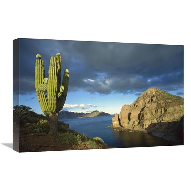 Global Gallery 16 x 24 in. Danzante Island - Sea of Cortez - Baja ...