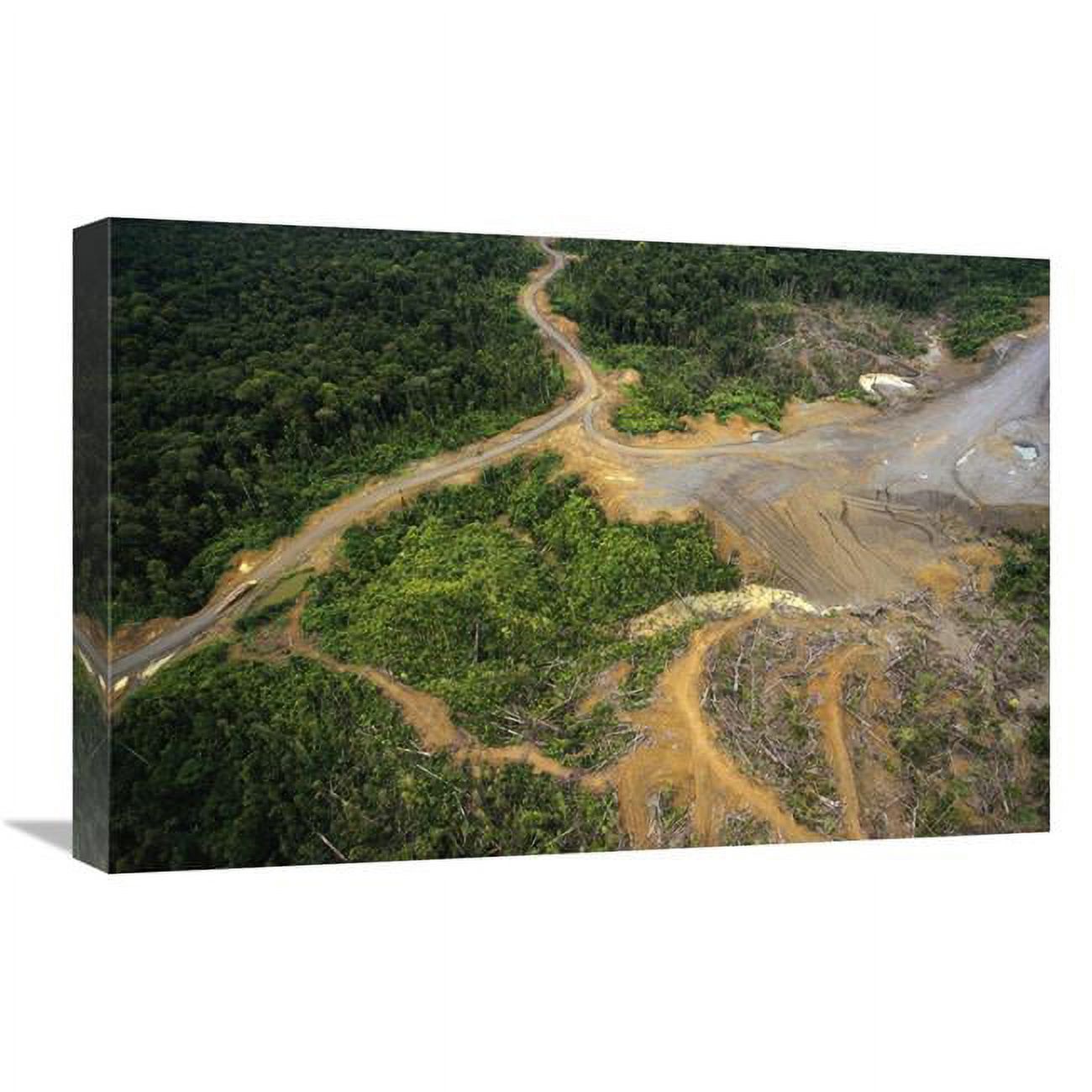 Global Gallery 16 x 24 in. Logging Erosion in Lowland Tropical ...