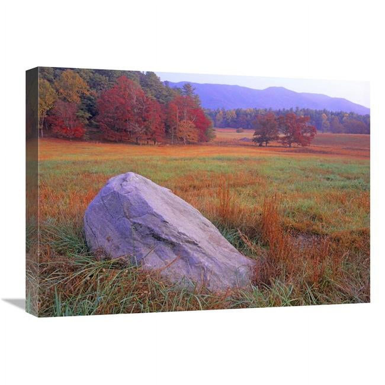 Global Gallery 18 x 24 in. Boulder & Autumn Colored Deciduous Forest ...