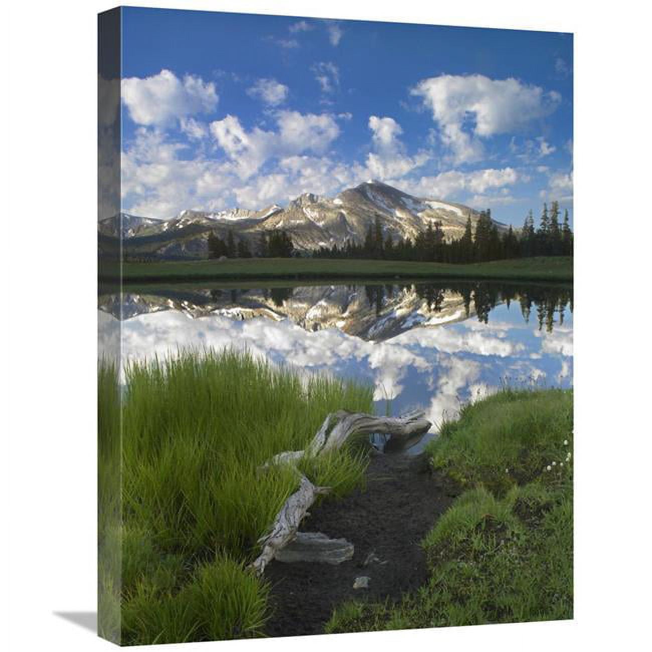 Global Gallery Mammoth Peak Reflected in Seasonal Pool - Yosemite NP ...