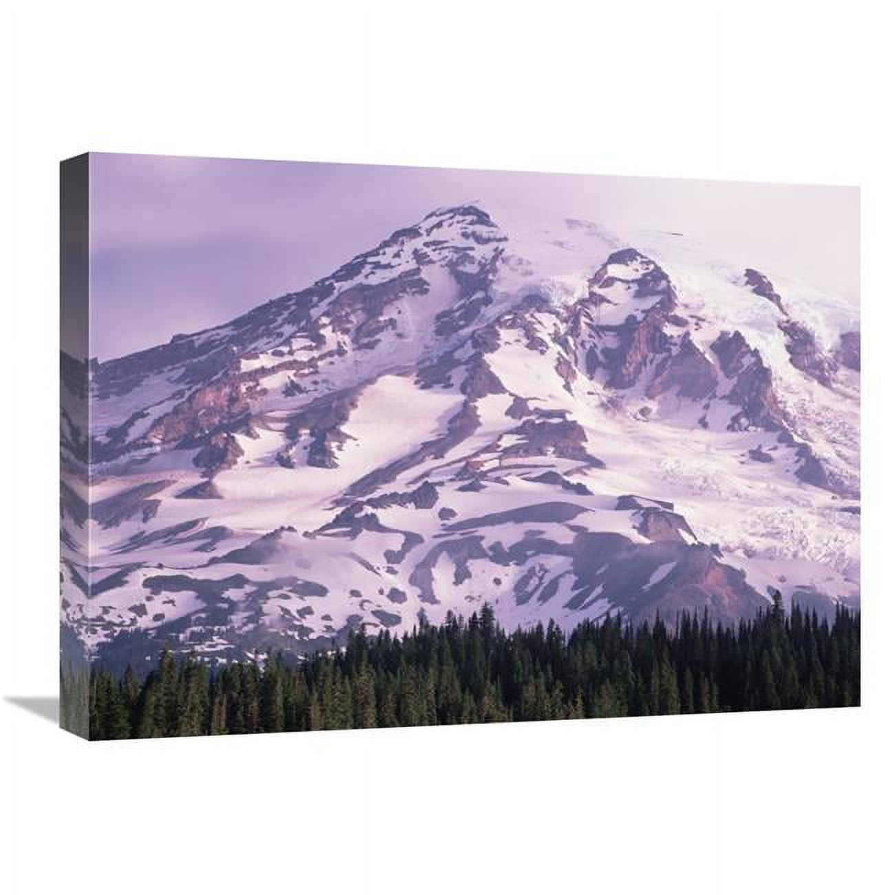 Mt Rainier Art