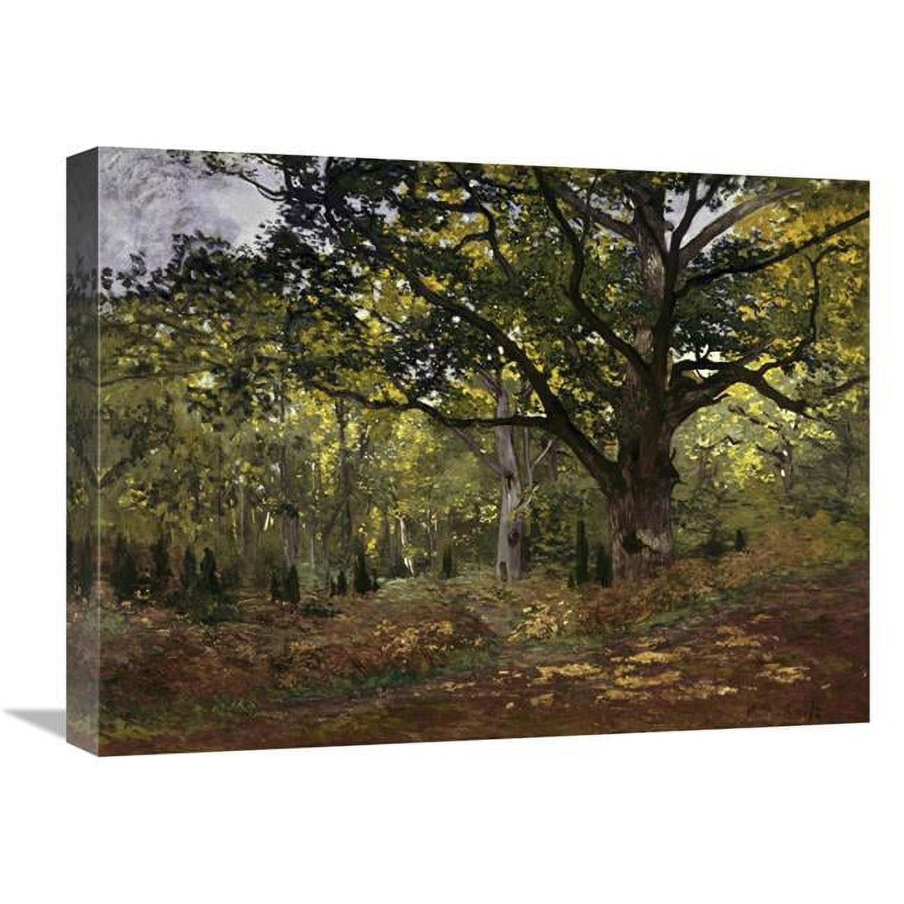 Global Gallery 22 in. Bodmer Oak - Fontainebleau Forest - 1865 Art ...