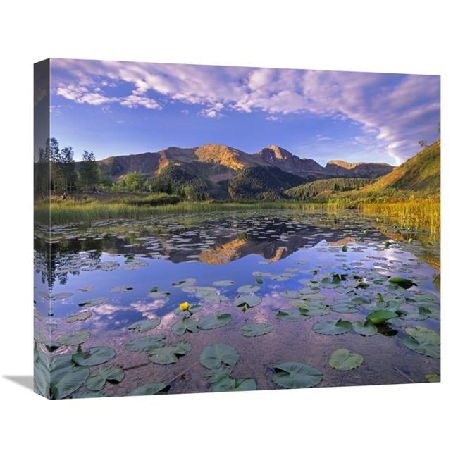 Global Gallery 22 in. Lily Pads & Reflection of Snowdon Peak in Pond ...