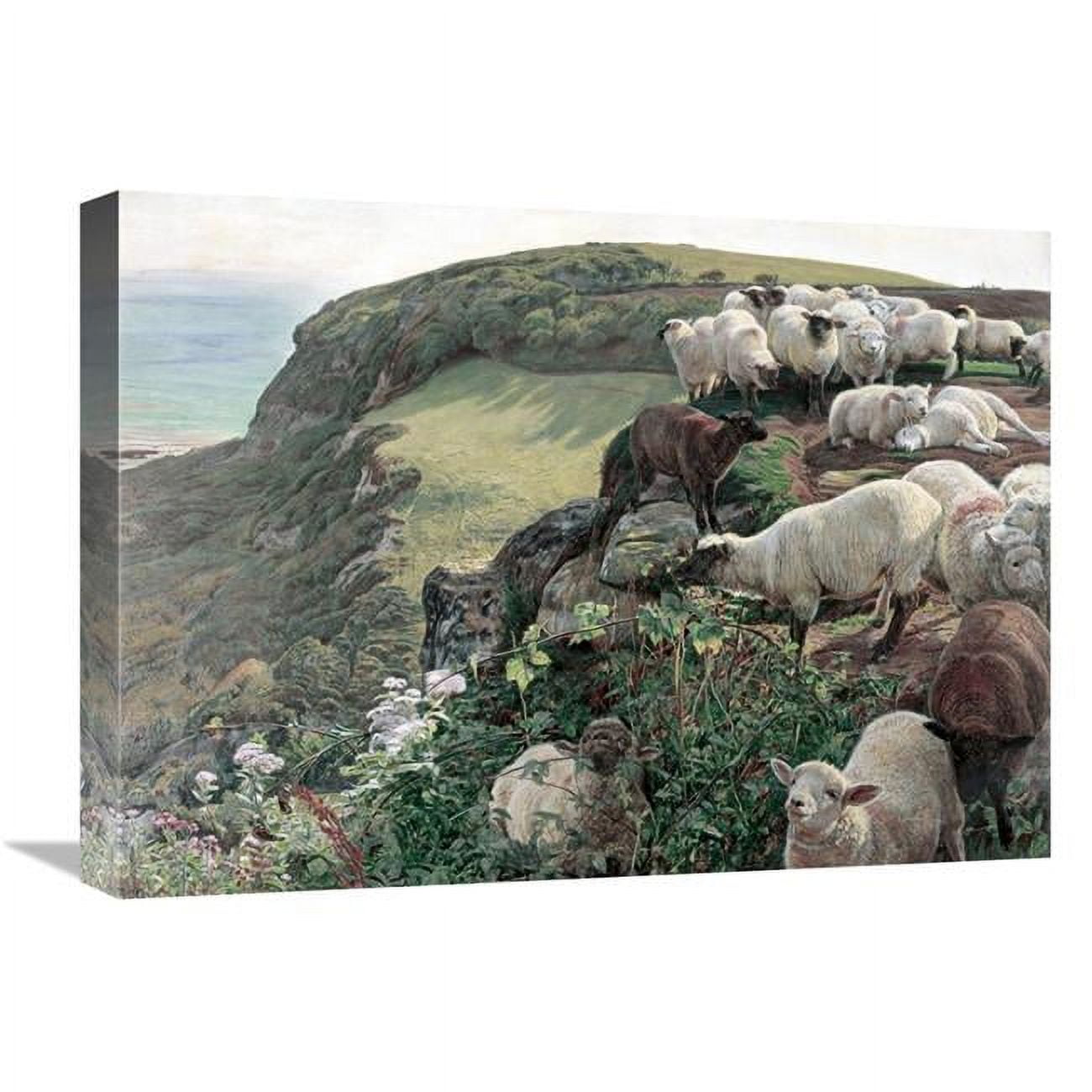 Global Gallery Our English Coasts - Strayed Sheep Art Print - William ...