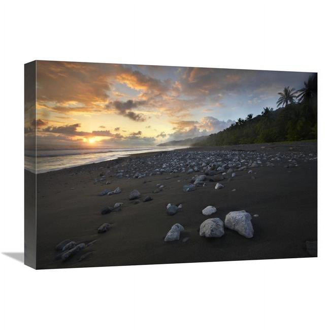 Global Gallery 22 in. Rocks on Beach - Corcovado National Park - Costa ...