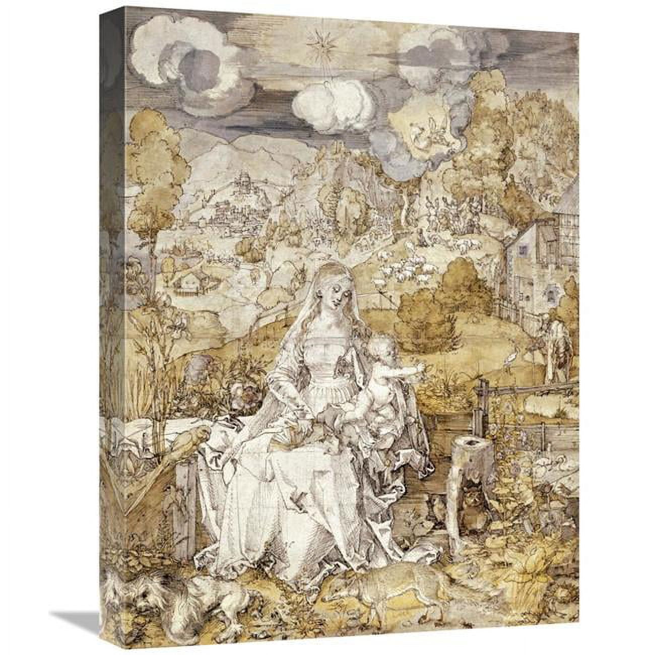 Global Gallery The Virgin with Animals - 1503 Art Print - Albrecht ...